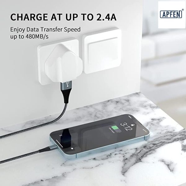 A Guide To IPhone Charger Types And Battery Replacements | Apphone